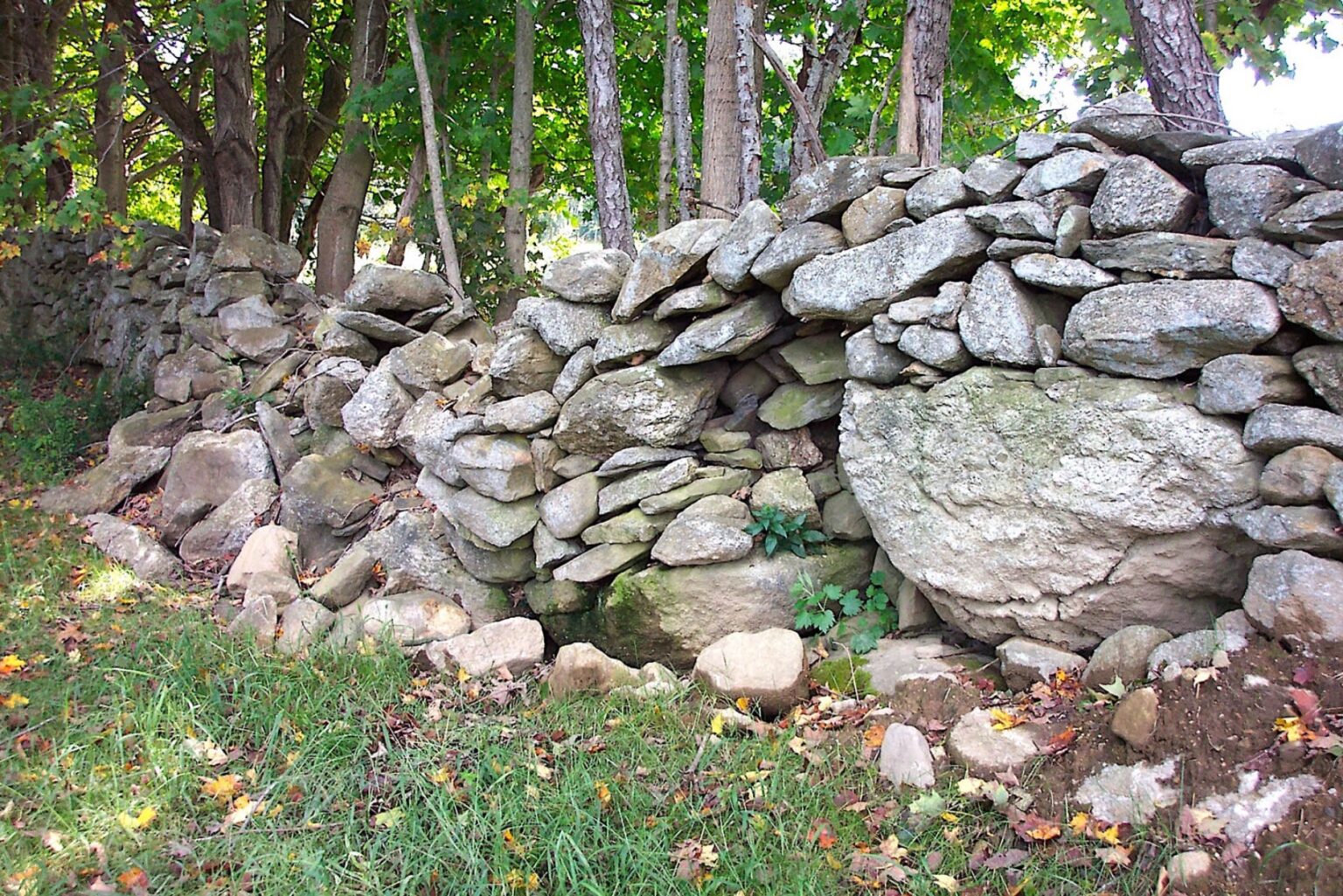 Lyme Public Hall & Local History Archives – Dedicated to the ...